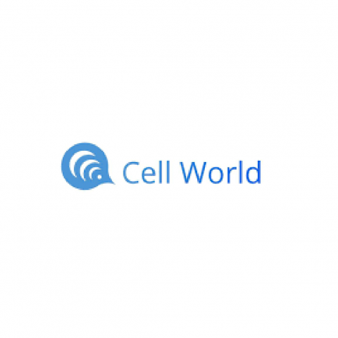 Cell World - Corkwood Square